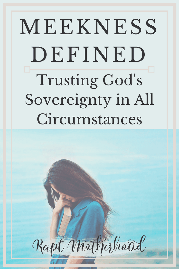 Meekness Defined: Trusting God’s Sovereignty in All Circumstances – The ...
